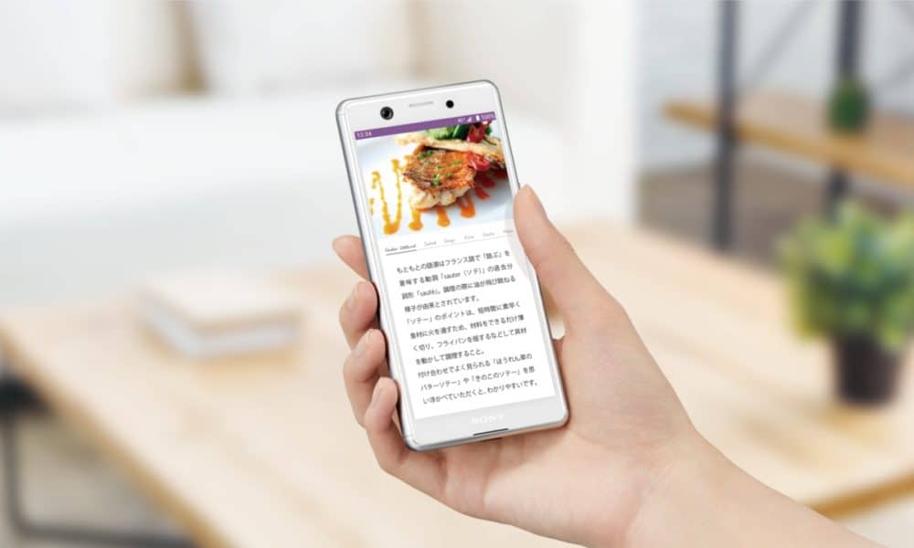 Sony Xperia Ace is what the Xperia XZ4 Compact could have been ...