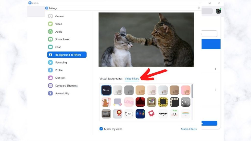 How to remove filters in Zoom - GadgetMatch