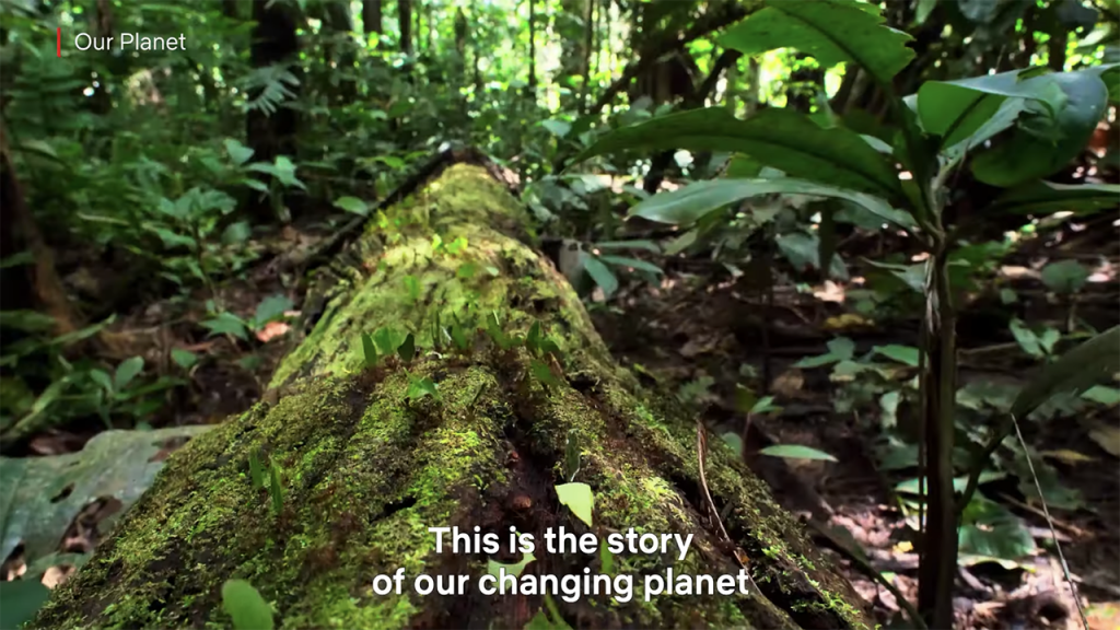 Net Zero + Nature: Netflix's steps and commitment to environment ...