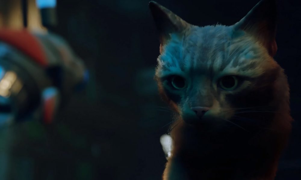 Long-teased cat game Stray finally gets a release date - GadgetMatch